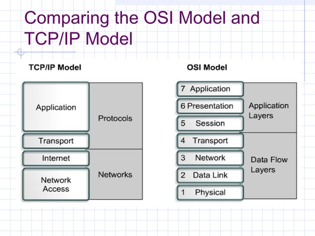 Ccna1v3 mod09 | PPT | Computer Networking | Computing