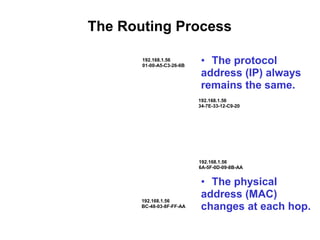 ccna2_mod6_Routing & Routing Protocols.pptx