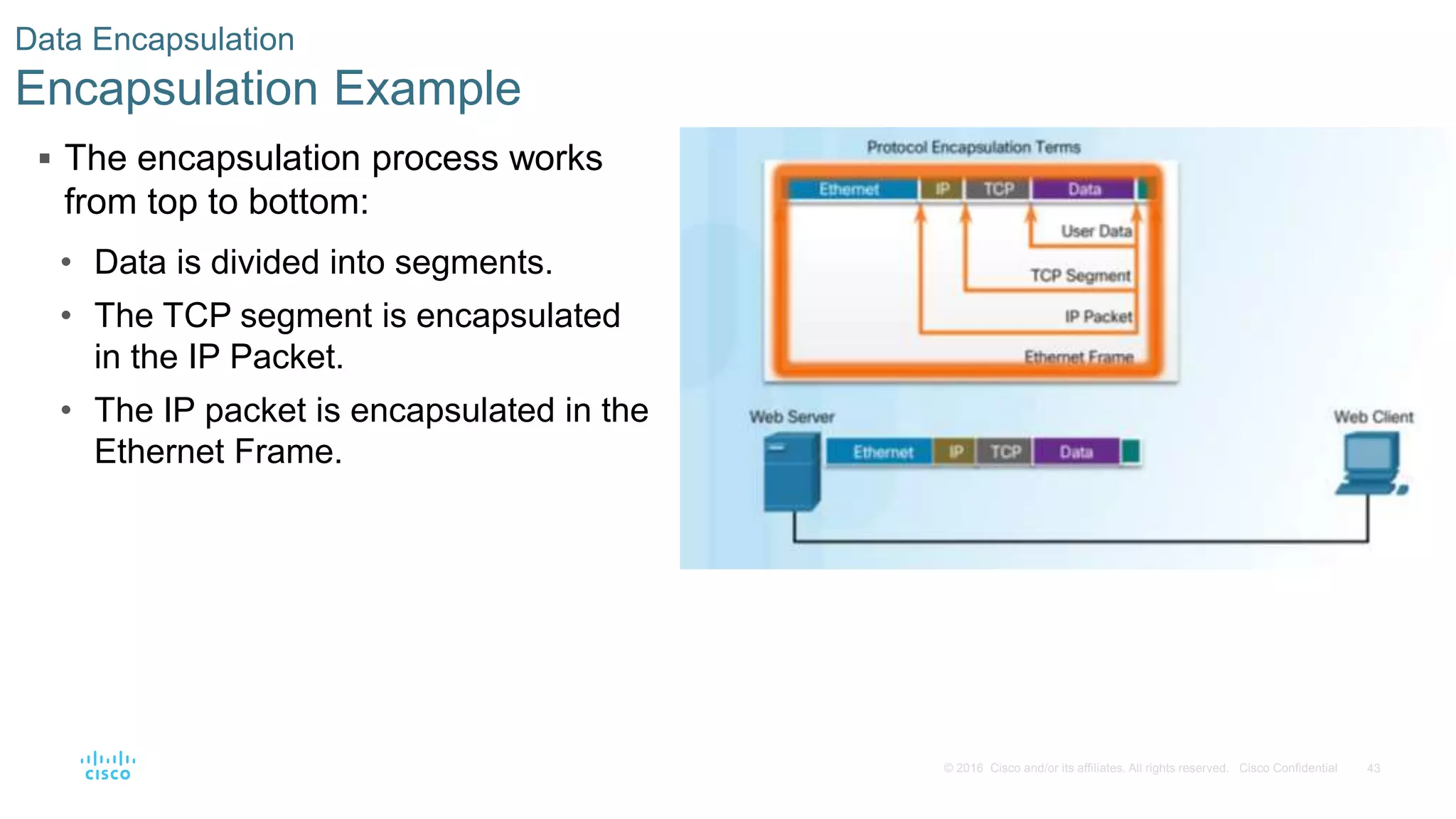 CCNA v6.0 ITN - Chapter 03 | PPTX | Computer Networking | Computing