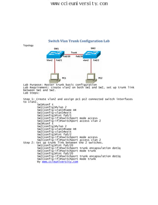 CCNA Lab Guide | PDF
