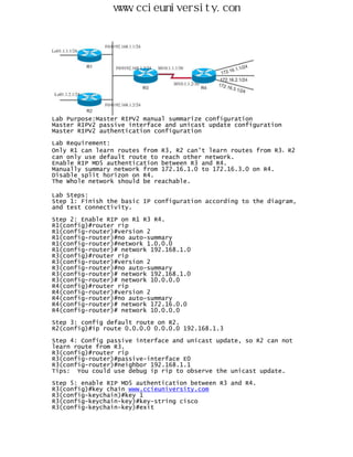 CCNA Lab Guide | PDF