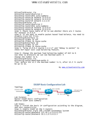 CCNA Lab Guide | PDF