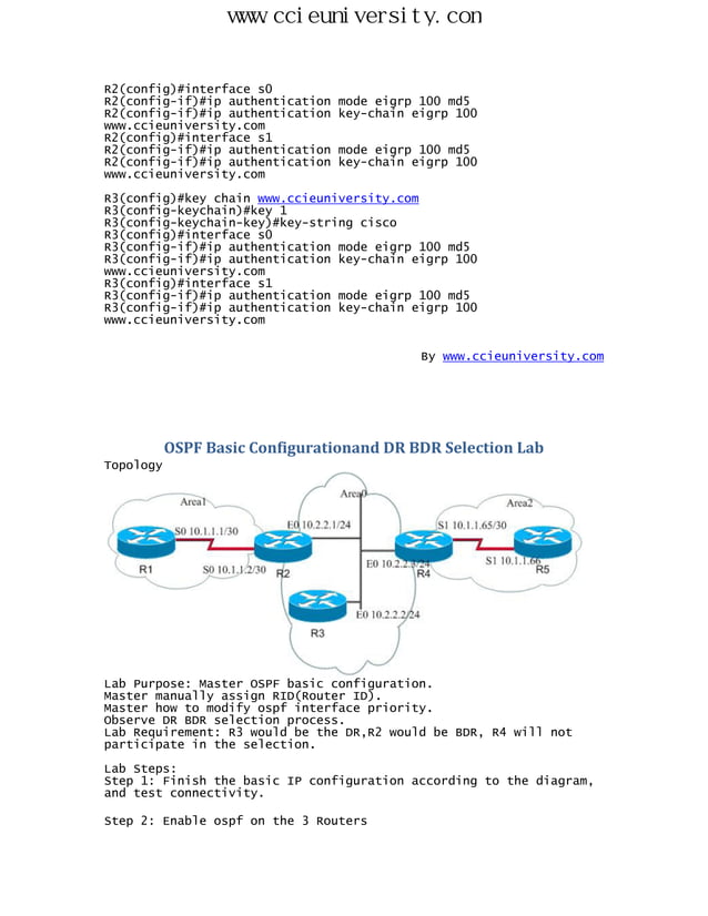 CCNA Lab Guide | PDF