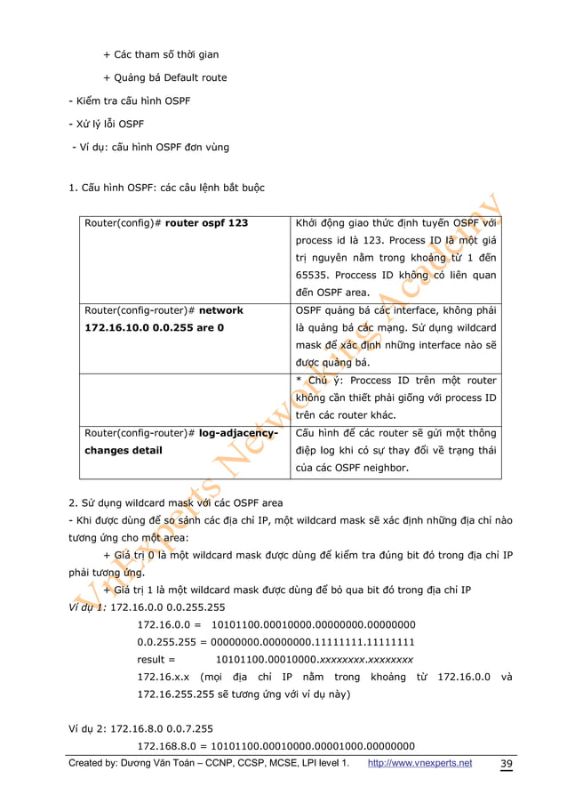 CCNA Lab Guide Tieng Viet v4.0.pdf