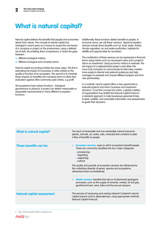 Cc natural capital accounting wp_aw2_digital | PDF