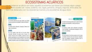 Ecosistemas | PPTX