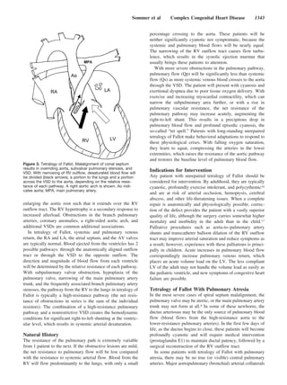 Cc no adulto III | PDF