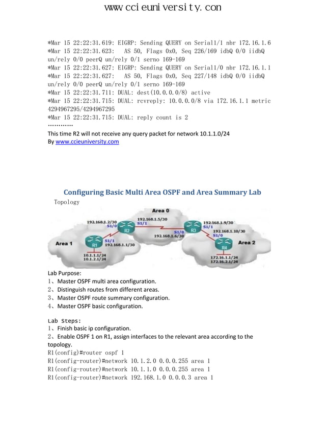 CCNP Lab Guide CCIE University | PDF