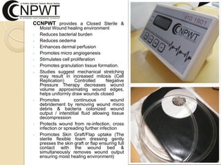 Ccnpwt user manual | PPT