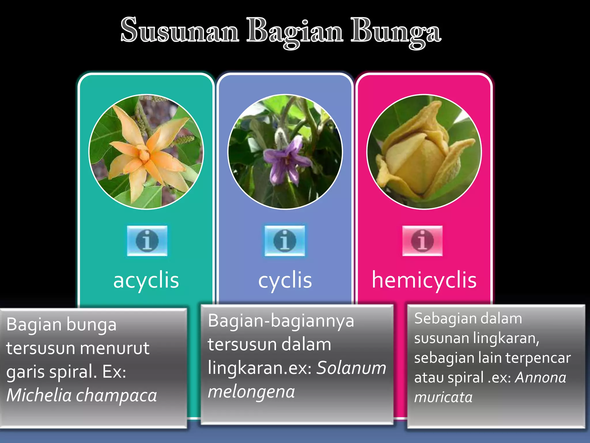 Morfologi bunga | PPTX