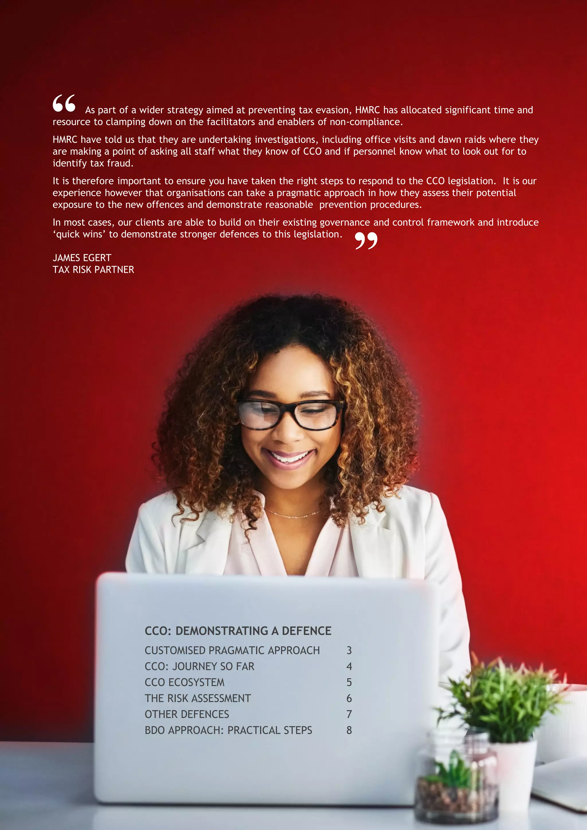 Corporate Criminal Offences brochure | PDF