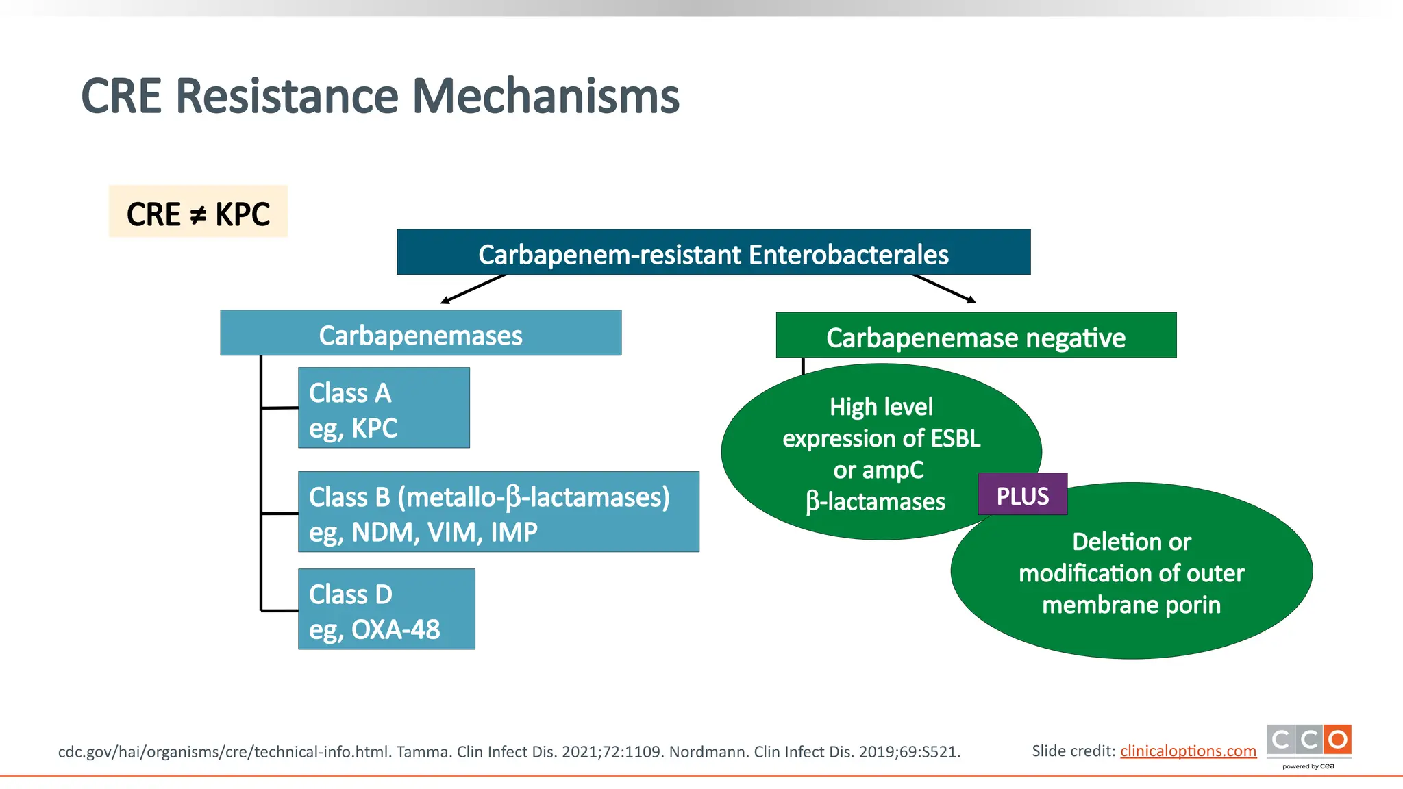 CCO_Carbapenem-Resistant_Gram-Negative_Infections_Downloadable_1_v3.pptx