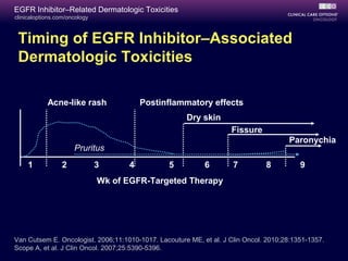 Cco egfr toxicities_2012_slides | PPT