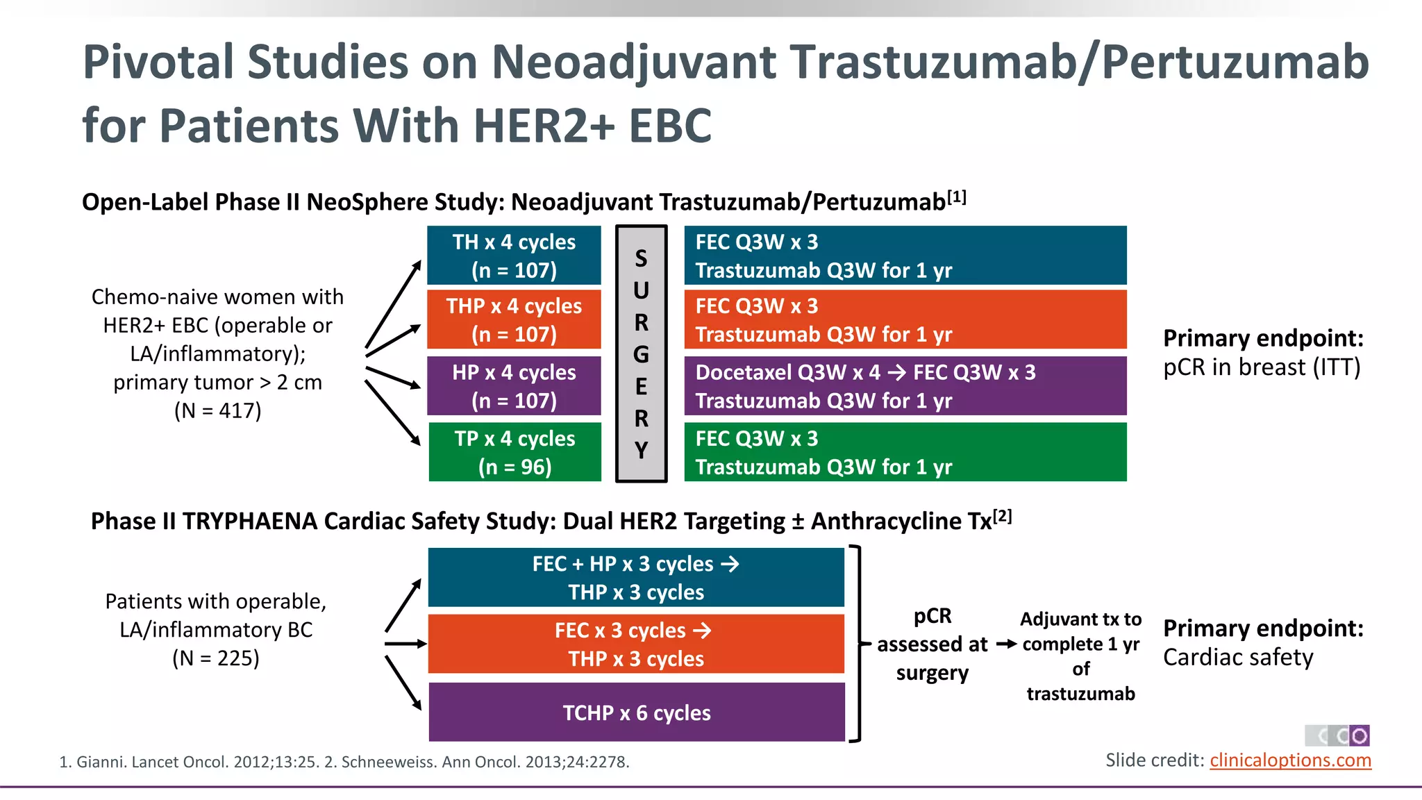 CCO_HER2_Breast_Cancer_Updates_Downloadable_1.pptx
