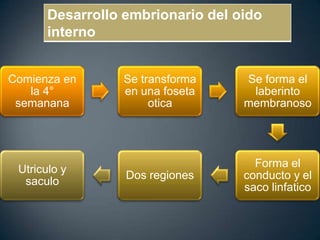 SORDEREA CONGENITA, LESION OIDO INTERNO | PPTX