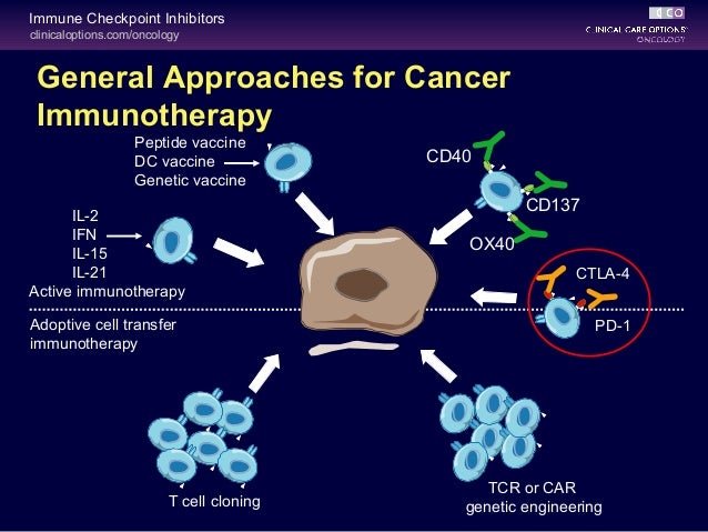 CCO immune checkpoint_inhibitors_in_cancer_care