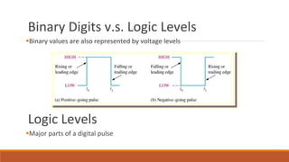 computer report logic and design system .docx