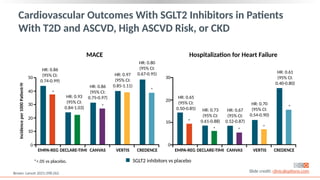 CCO_SGLT2i-in-T2DM_MM1_CKD_JGreen_Downloadable.pptx