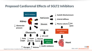 CCO_SGLT2i-in-T2DM_MM1_CKD_JGreen_Downloadable.pptx