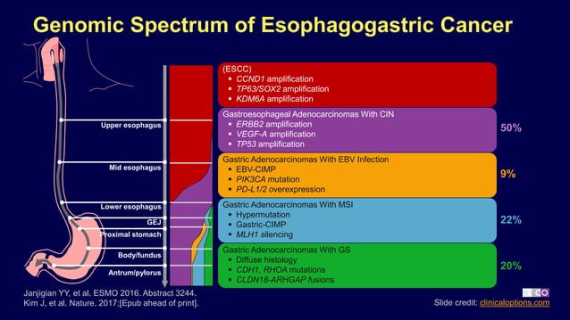 CCO_VEGF_GI_Cancers_Downloadable.pptx