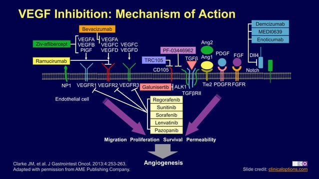 CCO_VEGF_GI_Cancers_Downloadable.pptx