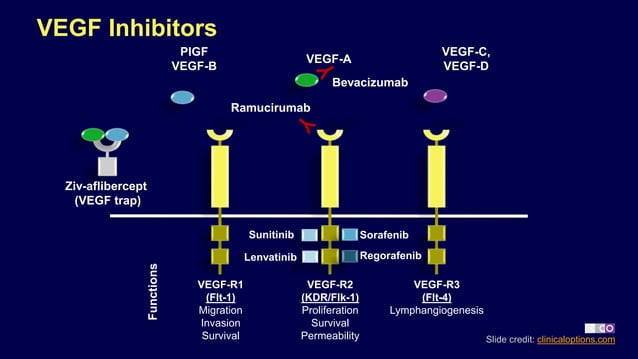 CCO_VEGF_GI_Cancers_Downloadable.pptx