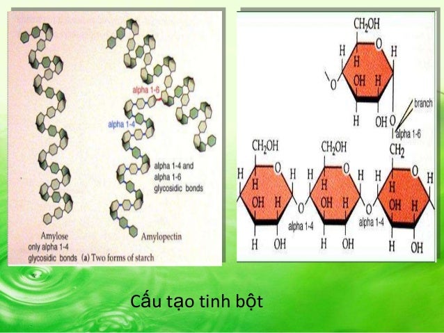Các phương pháp biến tính tinh bột