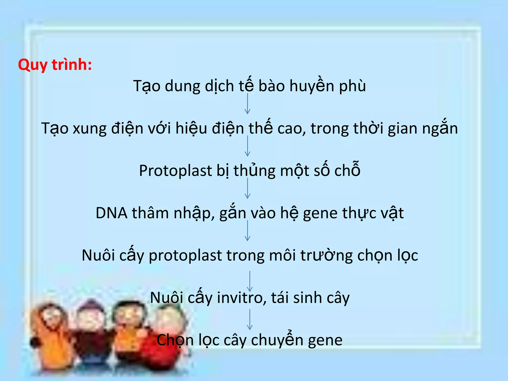 Các phương pháp chuyển gen trực tiếp vào thực vật | PPTX