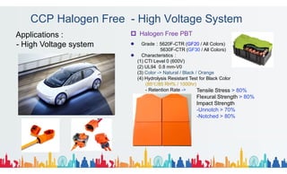 Changchun CCP PBT Overview Presentation | PDF