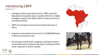 Analysis of the role of mucosal antibodies in protection against ...