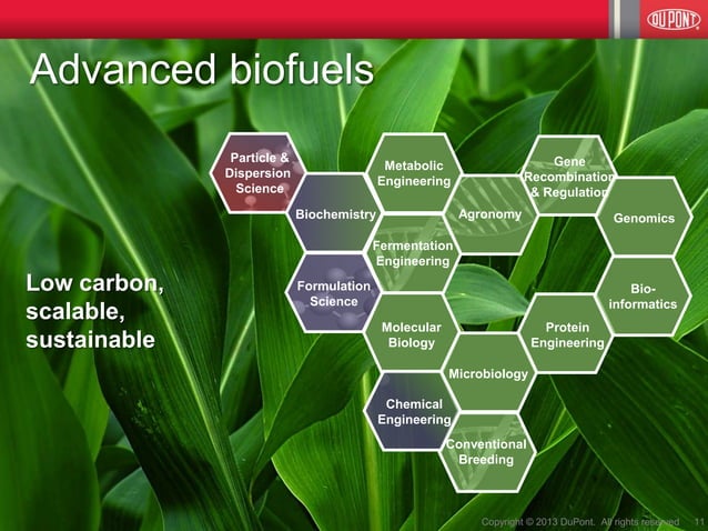 Integrated Science: Merging scientific disciplines to address global ...