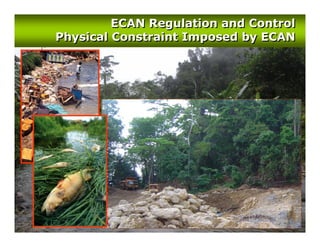 The Challenges for the Palawan Biosphere Reserve in Dealing with ...