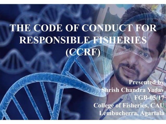 Ccrf(code of conduct for responsible fisheries_ | PPTX | Financial ...