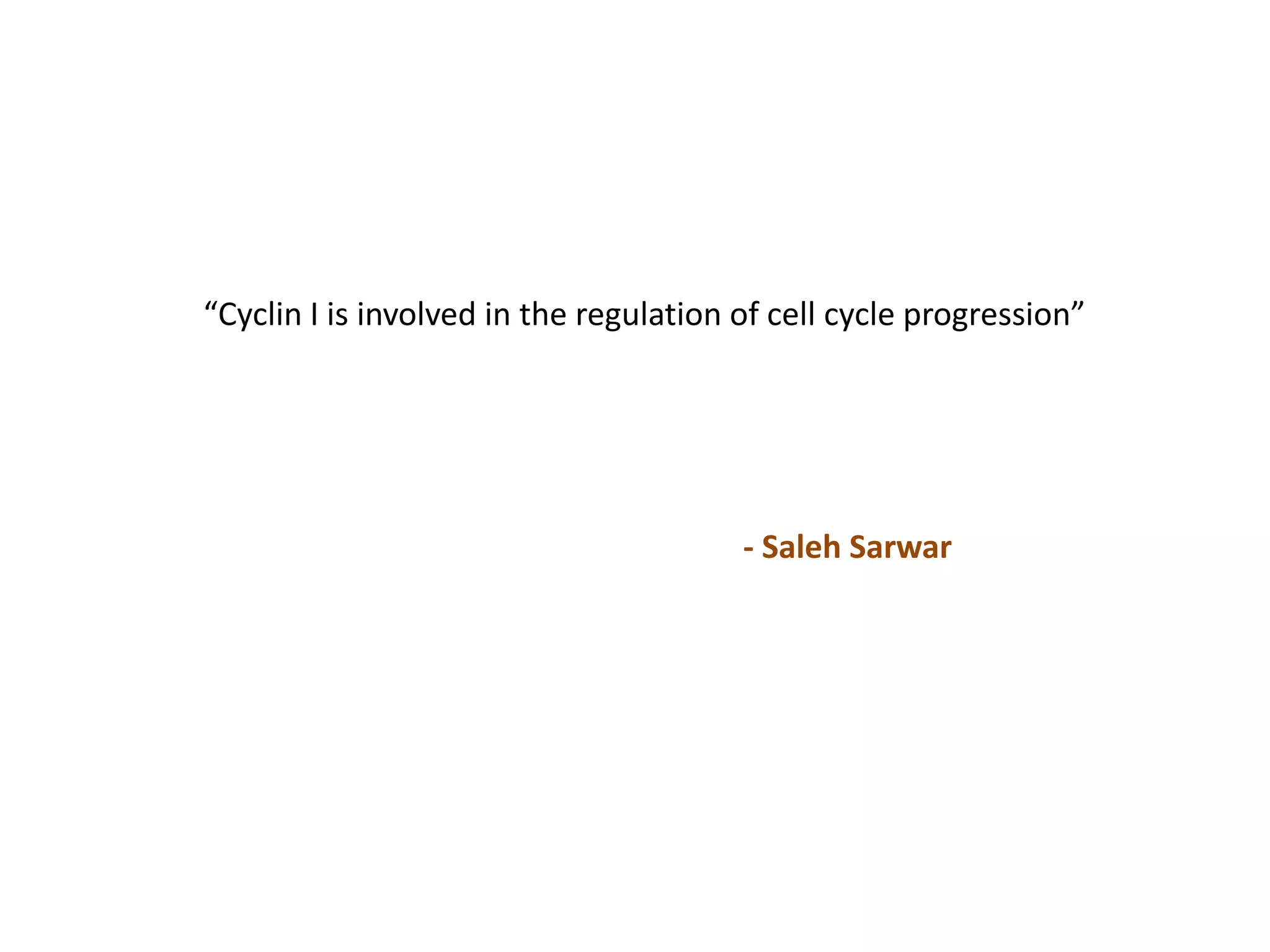 Cyclin I is involved in cell cycle progression! | PPTX