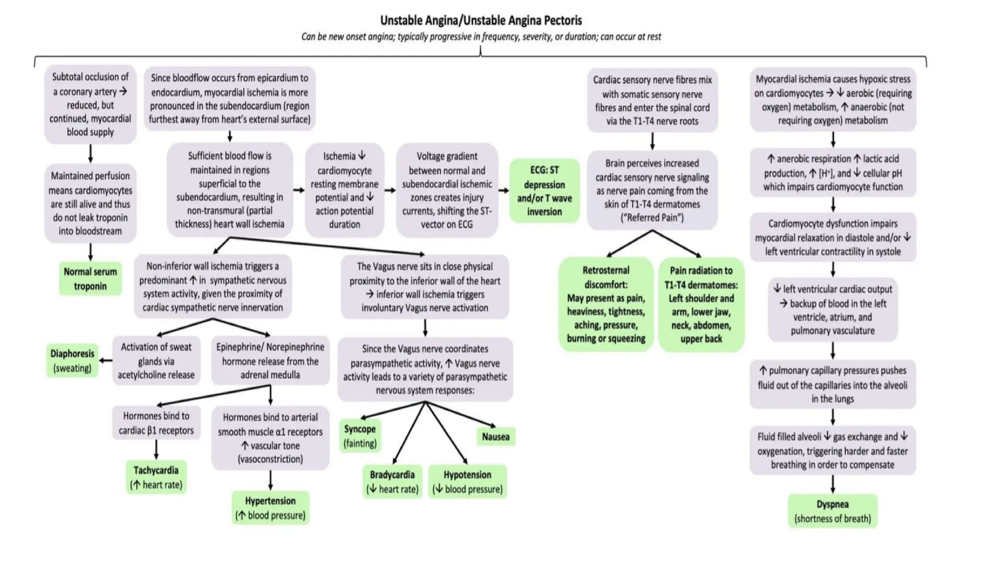mater dr. Personaldi, ESC guideline CCS.pptx