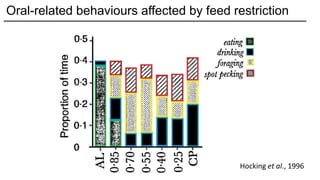 Stereotypic behavour in broiler breeders affected by alternative ...