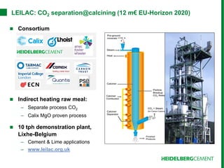 Carbon Capture and Storage in the Cement Industry | PDF