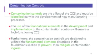 CCS Contamination Control Strategy Presentation.pdf