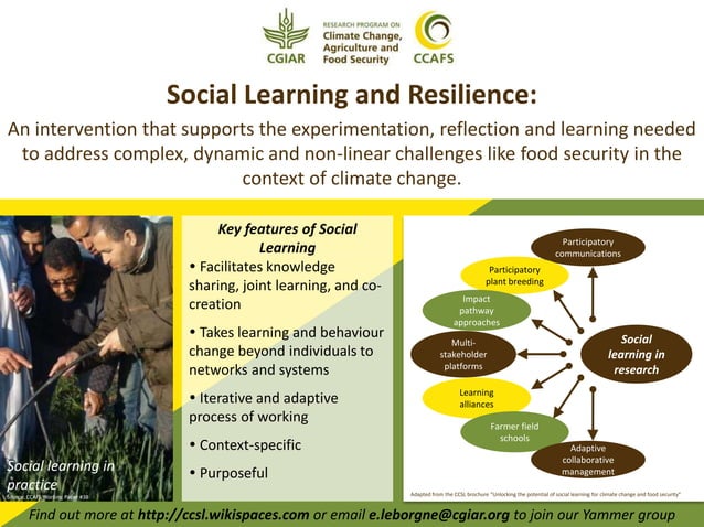 Poster: Social Learning and Resilience | PPT