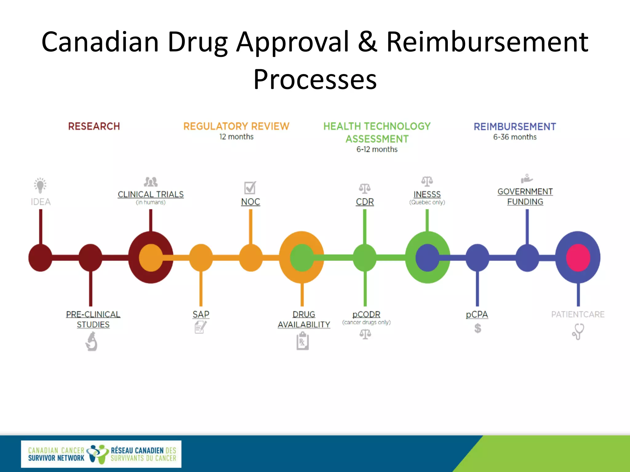 Drug Approval & Reimbursement Processes | PDF