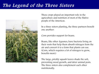 Connecting History, Agriculture and the Future in the Classroom | PPT ...