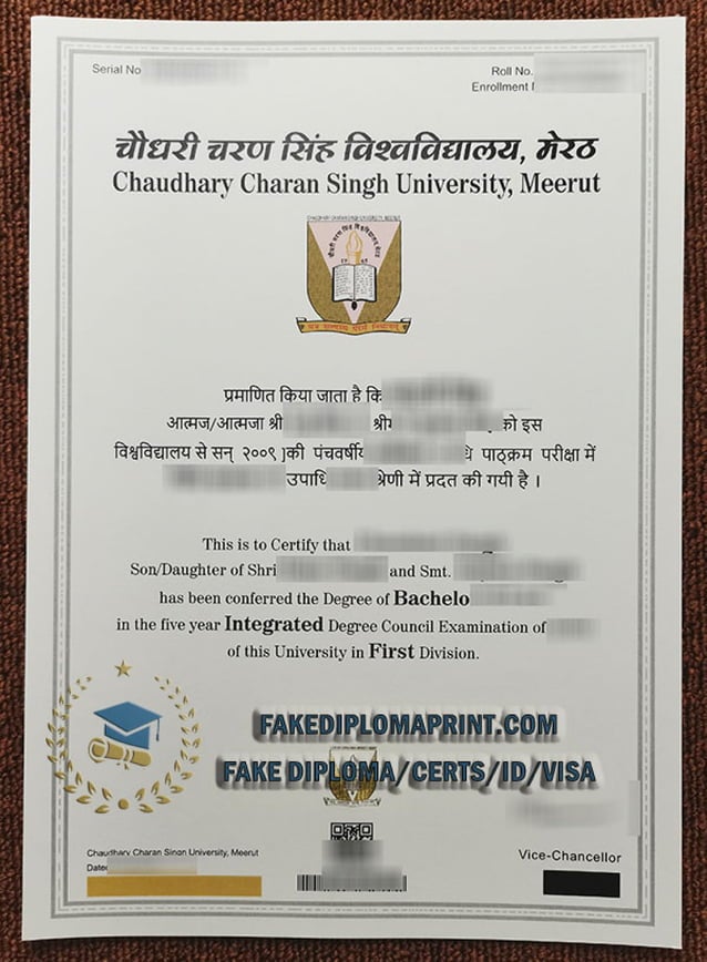 CCS University Degree pdf CCS University Degree pdf