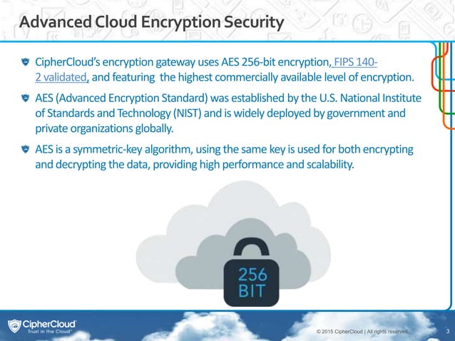 CipherCloud Technology Overview: Encryption | PPTX | Cloud Computing | Internet