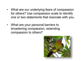 Broadening Compassion - Compassion for Others | PPTX