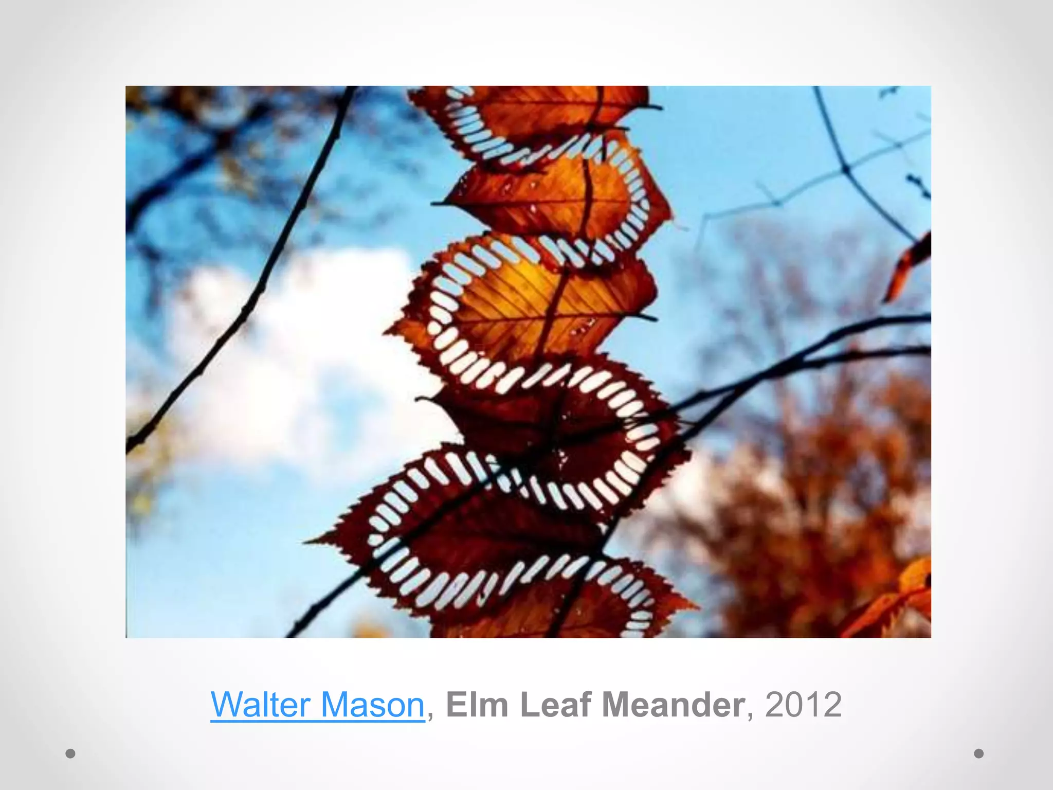 CCVA Earthwork presentation | PPT