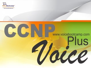 Ccvp plus module 1 | PPT