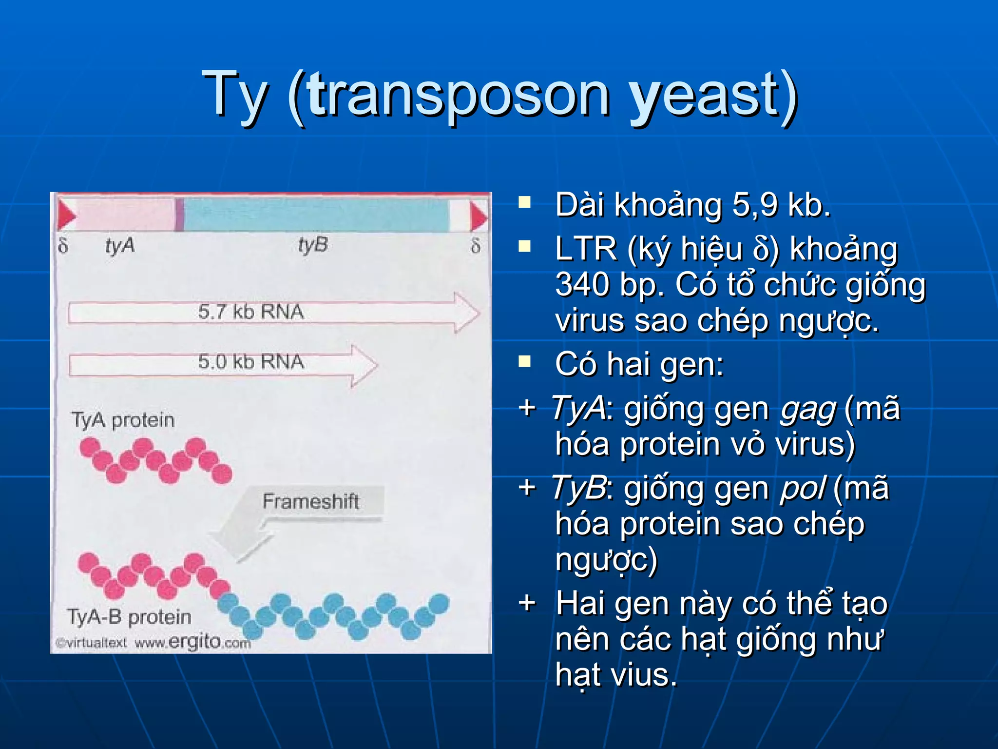 Các yếu tố di truyền vận động | PPT