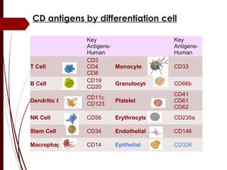 Clusters of differentiation (CDs) | PPT