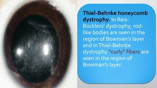 Corneal Dystrophies | PPTX