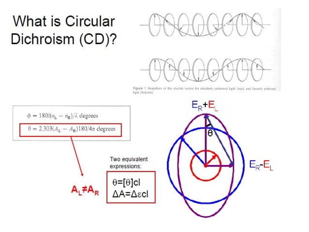 circular dichroism
